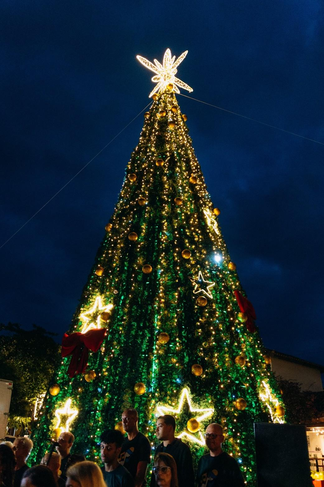 Programação inédita inclui fotos com Papai Noel, iluminação incrível e ...